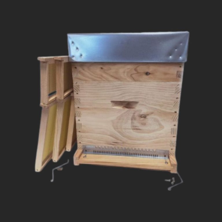 Comment bien organiser son rucher ? • Apistore